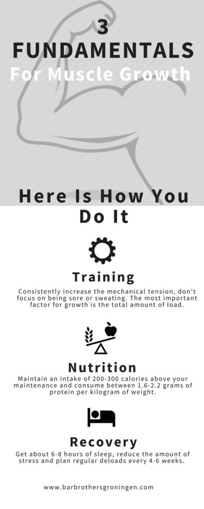 Calisthenics-for-beginners-muscle-growth-chart | Bar Brothers Groningen ...