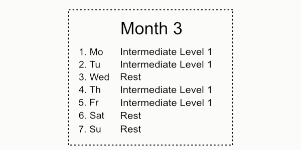 Level 1 increased difficulty | Bar Brothers Groningen For Calisthenics ...